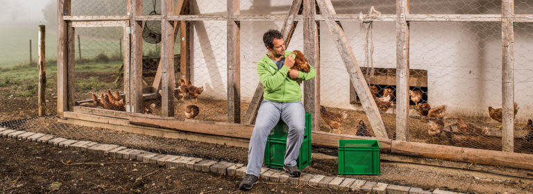 Biokiste_Lieferservice_Ökokiste_oekokiste_betriebe_Lecker_Hans_Lecker ...